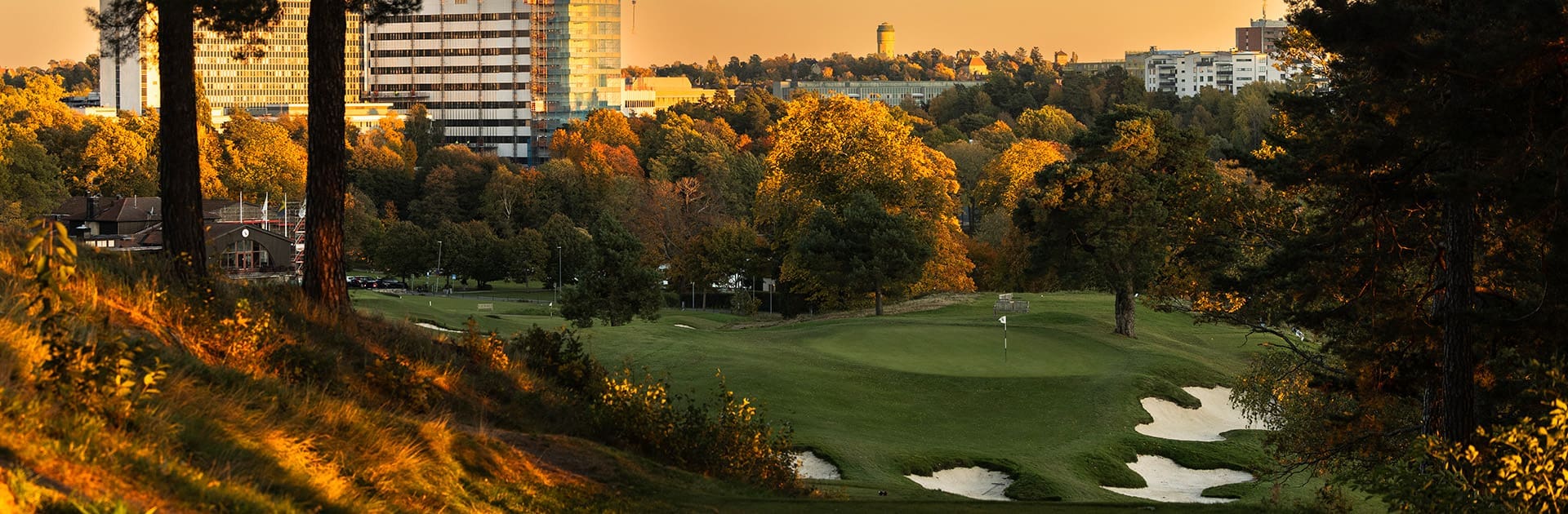 Organisation - Stockholms Golfklubb